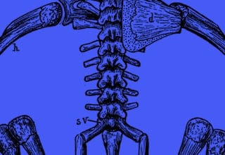 Getting Started With Backbone Techfuture